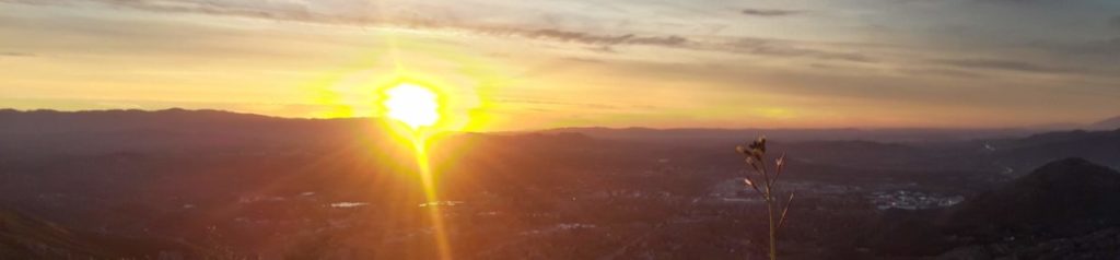 Calculating Fst for haploid data in R - Arafat Rahman