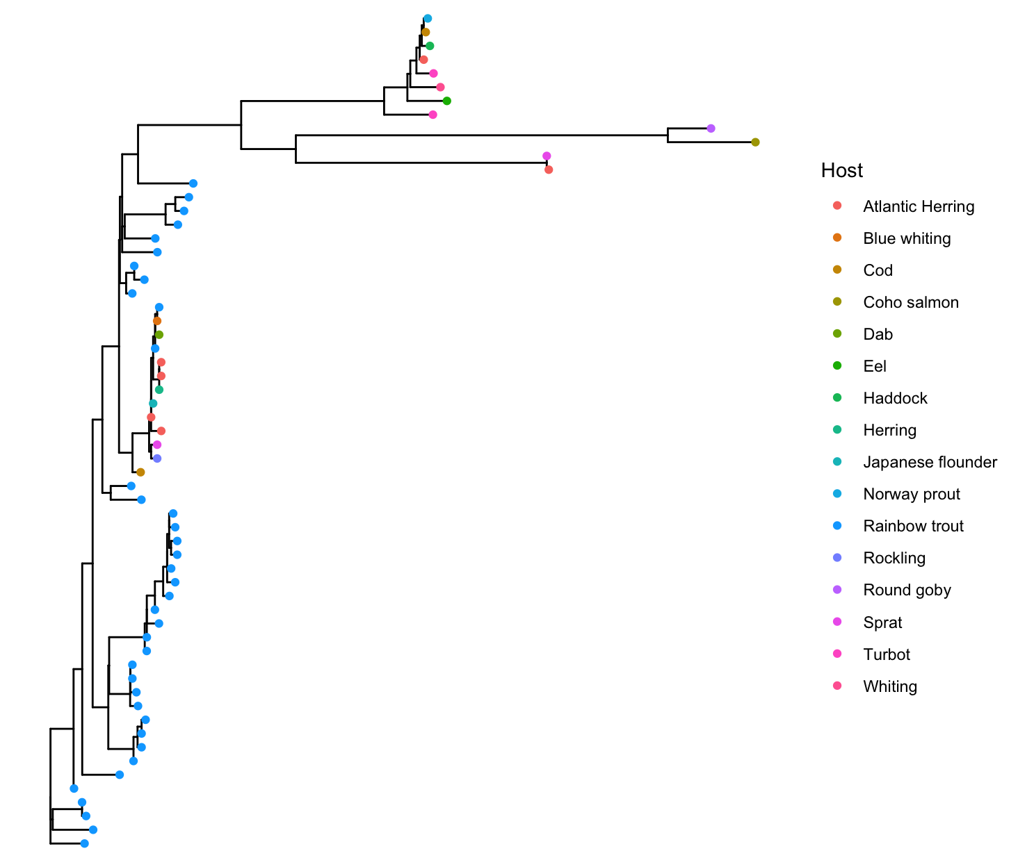 Creating a Publication Quality Phylogeny Using ggtree - Arafat Rahman